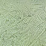 Fern Test Overview: Appearance and Clinical Significance