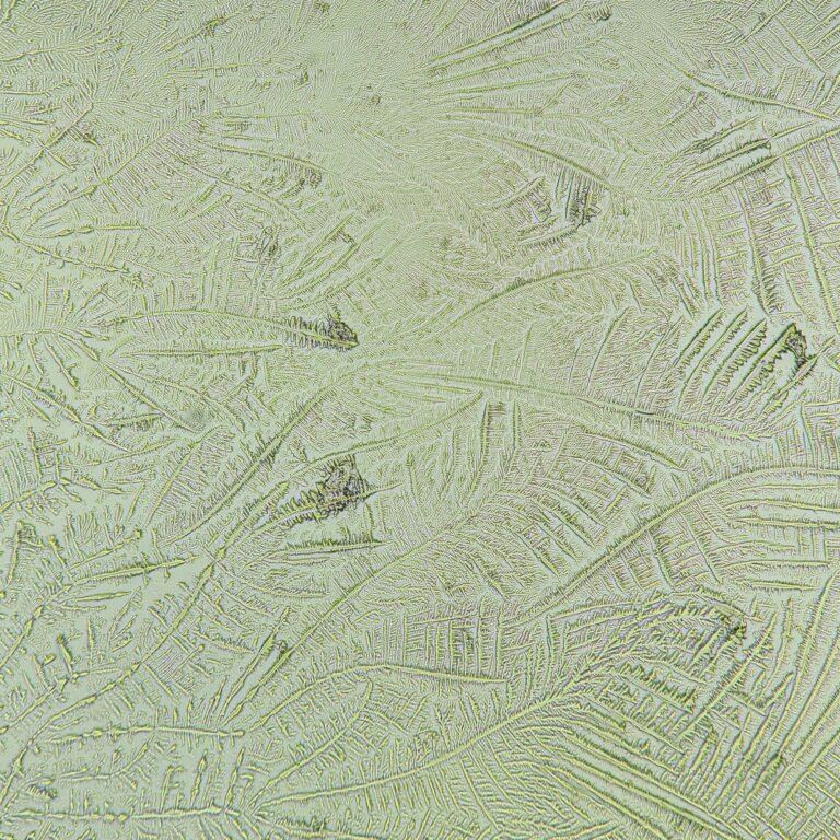 Fern Test Overview: Appearance and Clinical Significance