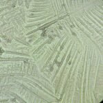 Fern Test Overview: Appearance and Clinical Significance