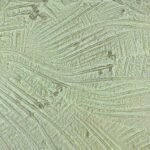 Fern Test Overview: Appearance and Clinical Significance