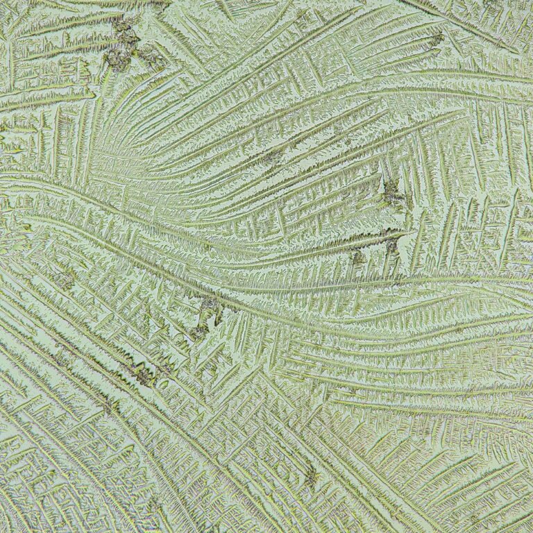 Fern Test Overview: Appearance and Clinical Significance