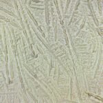 Fern Test Overview: Appearance and Clinical Significance