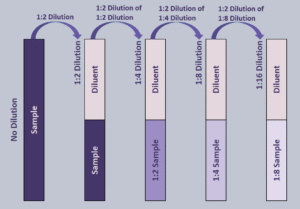 Chemistry Dilutions & Calculations - MedLabBuddy